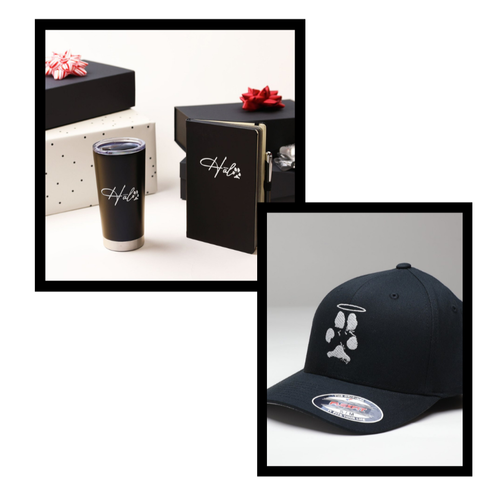 Halo Accessories Bundle – Halo, Inc.